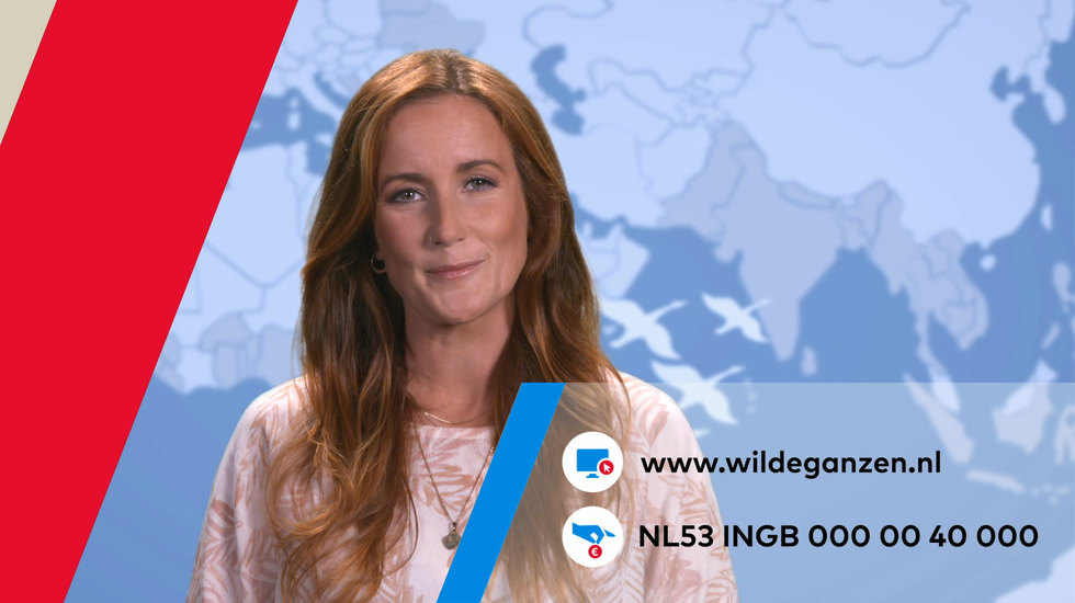 Wilde Ganzen: Burundi gemist? Terugkijken doe je op NPO3.nl