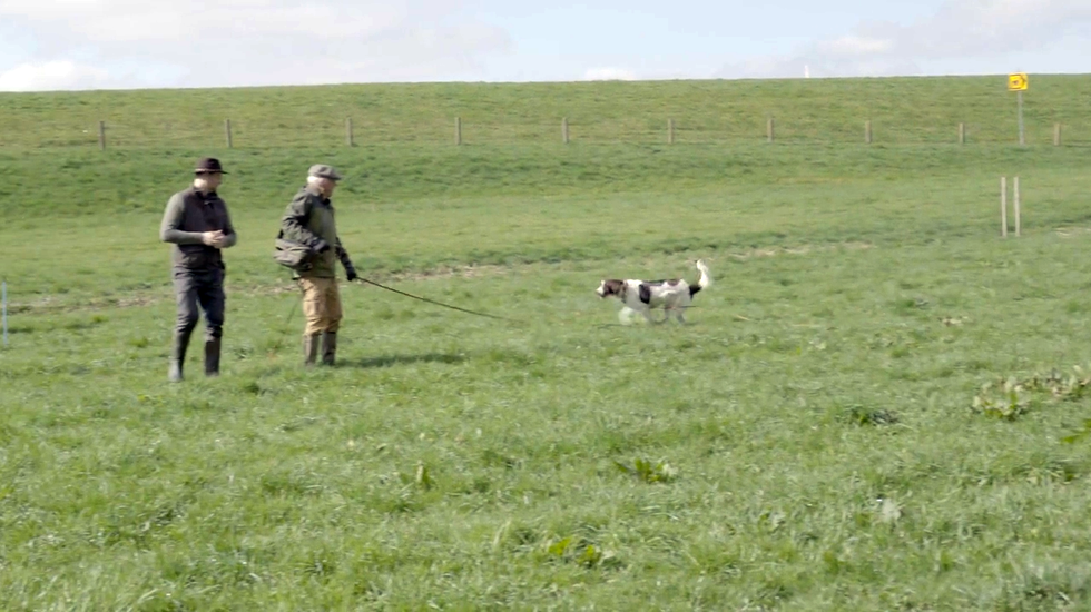 Met Bromet naar hondencursus gemist? Terugkijken doe je op NPO3.nl