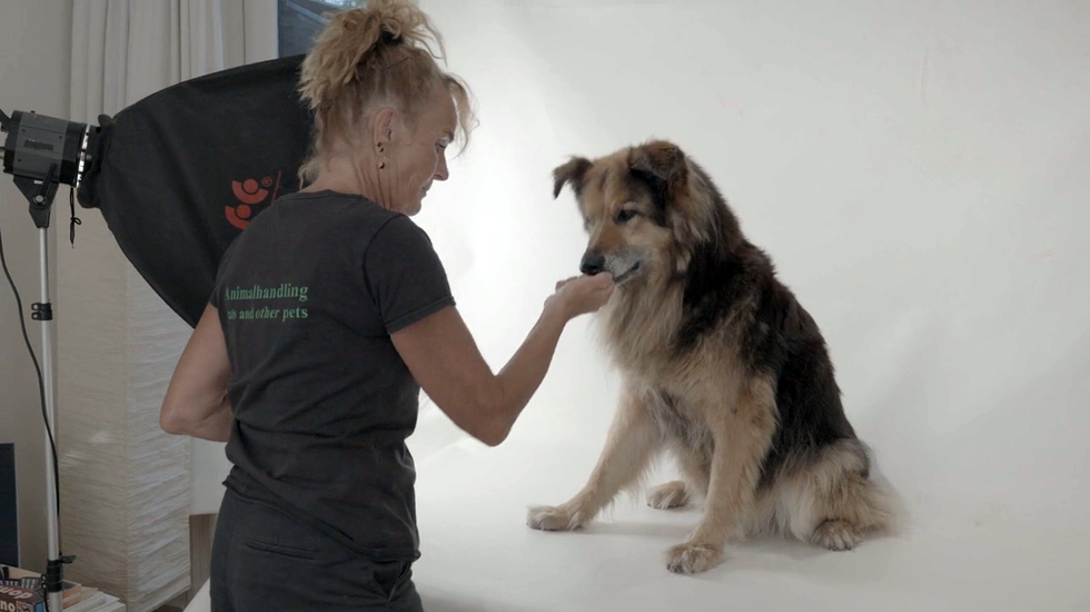 Met Bromet naar hondencursus gemist? Terugkijken doe je op NPO3.nl