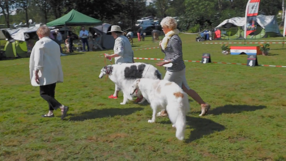 Met Bromet naar hondencursus gemist? Terugkijken doe je op NPO3.nl