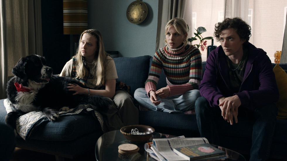 Woeste Grond: Het nest onder de boom gemist? Terugkijken doe je op NPO3.nl