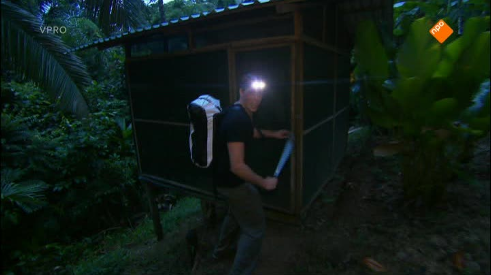 Video - Freek in het wild: Op zoek naar de zweepspin gemist ...