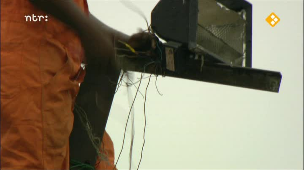 Het Uur van de Wolf: Beethoven in Congo gemist? Terugkijken doe je op NPO3.nl