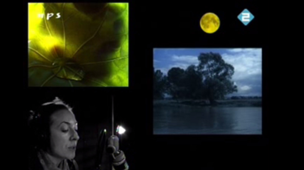 Het Uur van de Wolf: Nacht - The soundtrack gemist? Terugkijken doe je op NPO3.nl